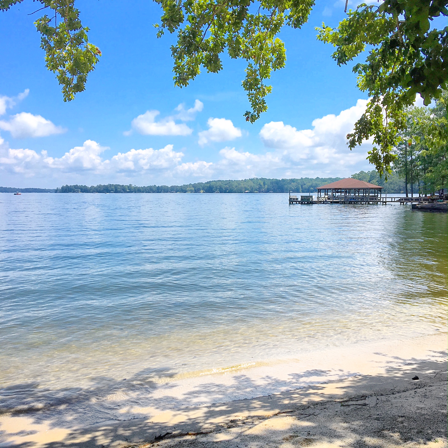 Lake Martin Love – Sarah Crosland
